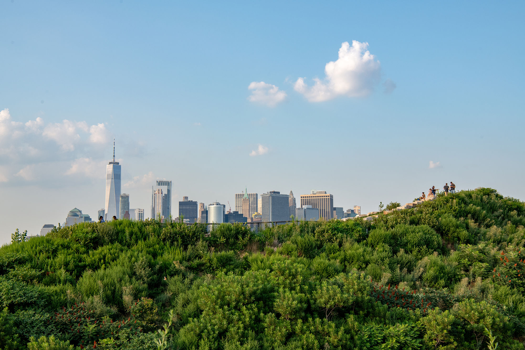 Highlights from the Harbor: Governors Island in 2019 | Governors Island