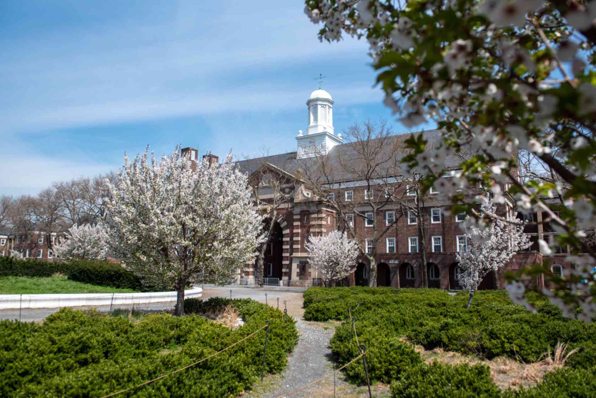 See everything to do on Governors Island this opening weekend ...