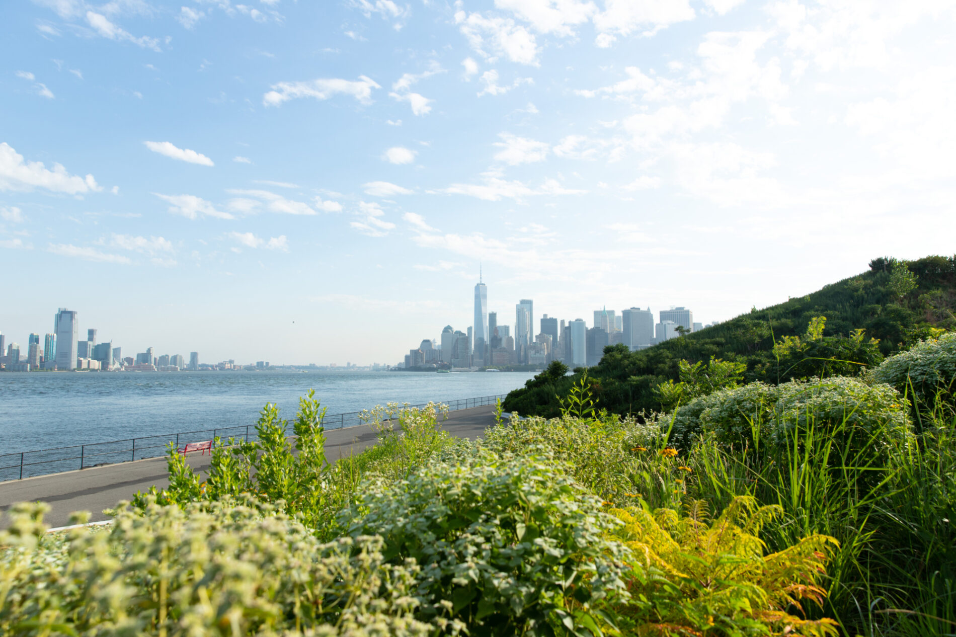 Governors Island Nature Walk | Governors Island (en-US)