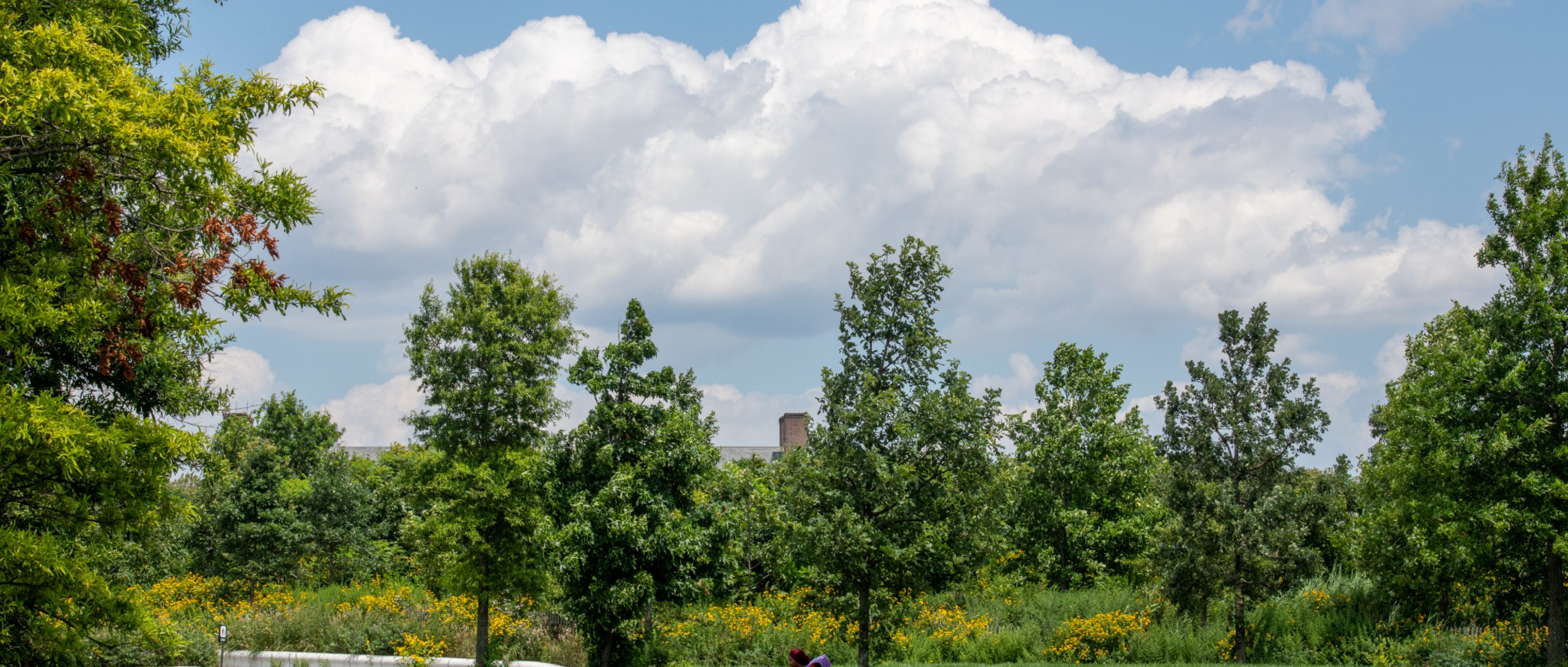 Tree Map | Governors Island (en-US)