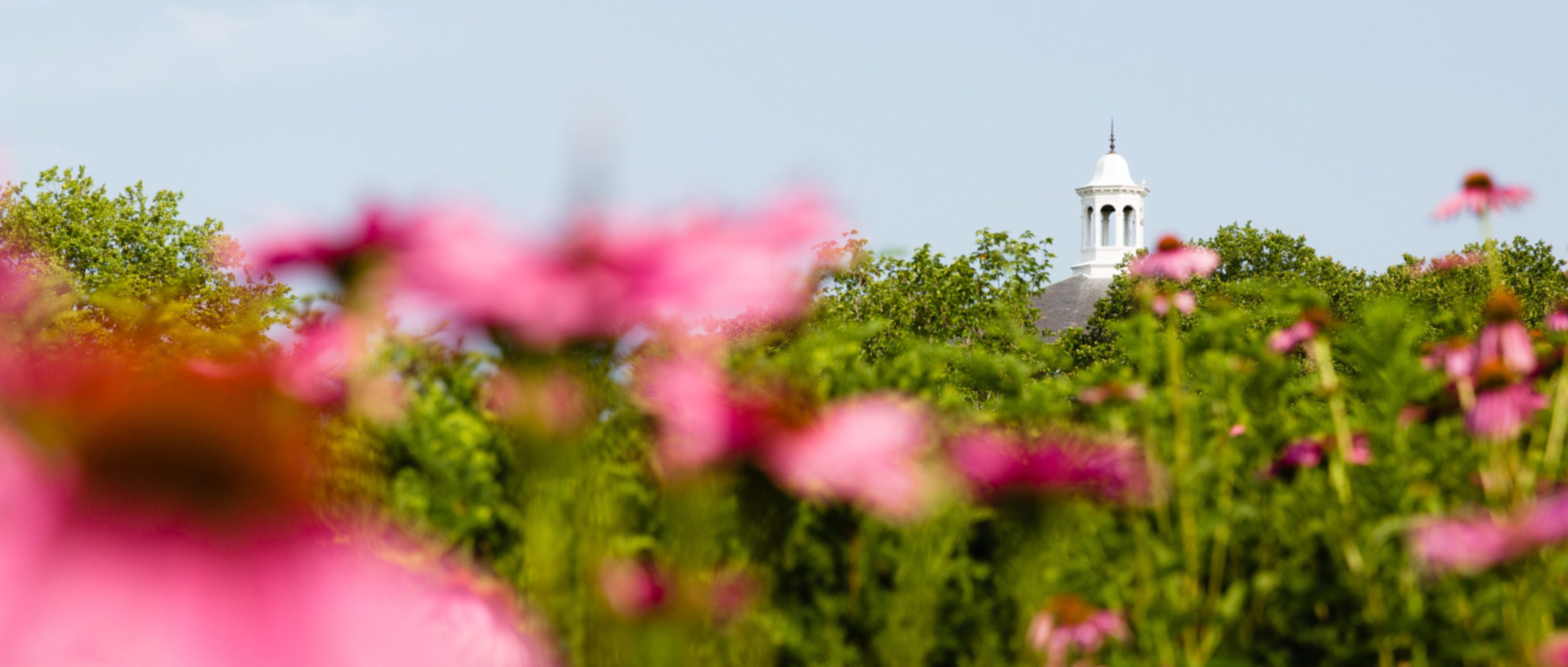 job-openings-governors-island-en-us